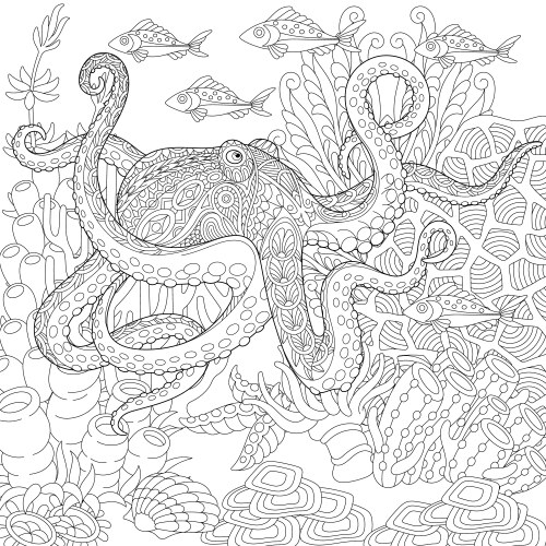 Mandala Octopus Coloring Page Octopus Mandala Coloring Pages For