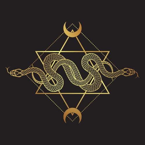 Serpent & Star Line Art Royalty Free Vector Image