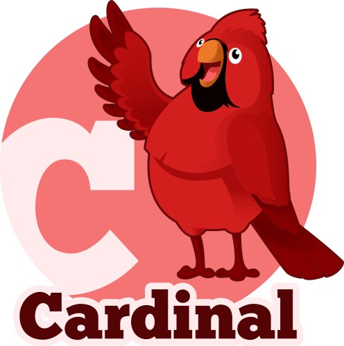 Abc cartoon booby Royalty Free Vector Image - VectorStock