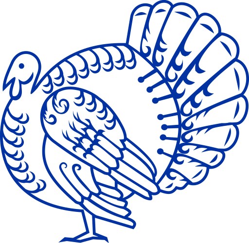 Wild turkey Vector Images & Graphics for Commercial Use | VectorStock