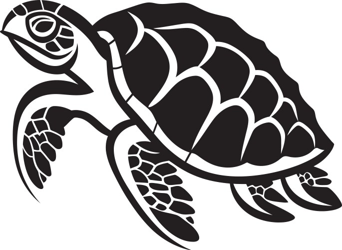 Turtle Shell Vector Images (over 11,000)