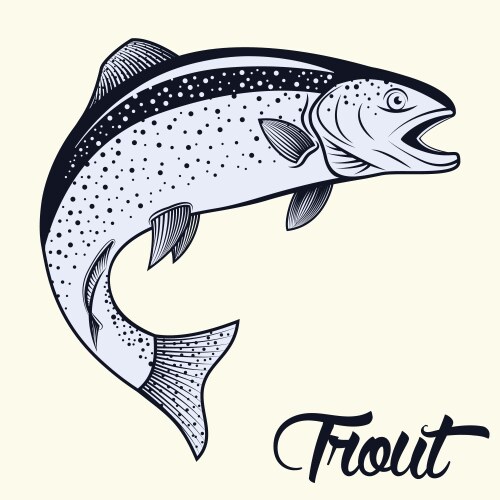 Trout Vector Images (over 13,000)