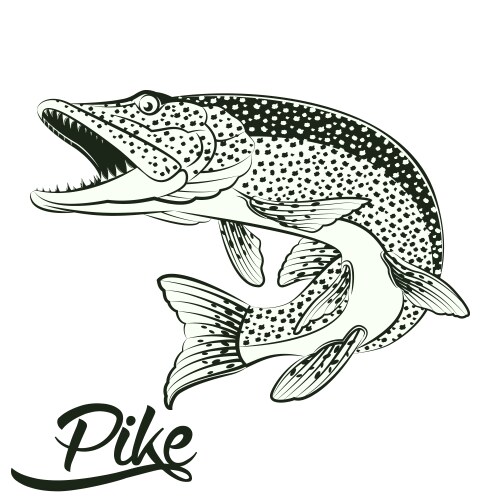 Pike Vector Images (over 7,300)