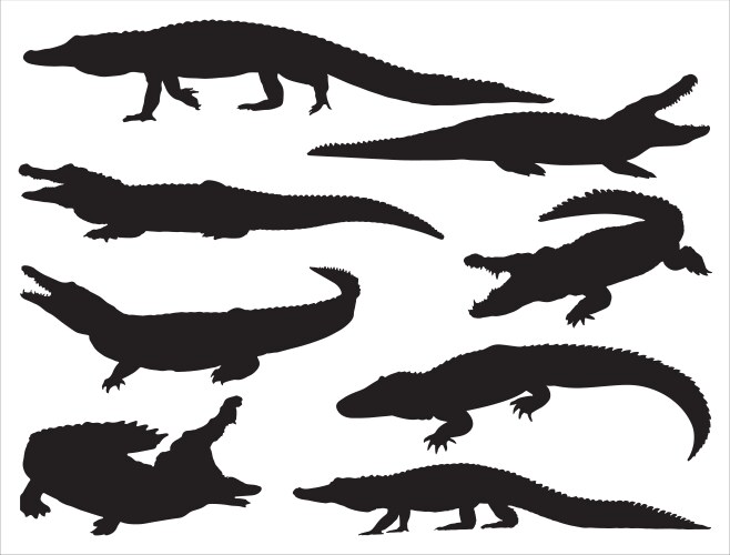 Alligator - minimalist and simple silhouette Vector Image