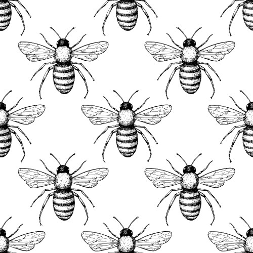 Bee Drawing Vector Images (over 24,000)