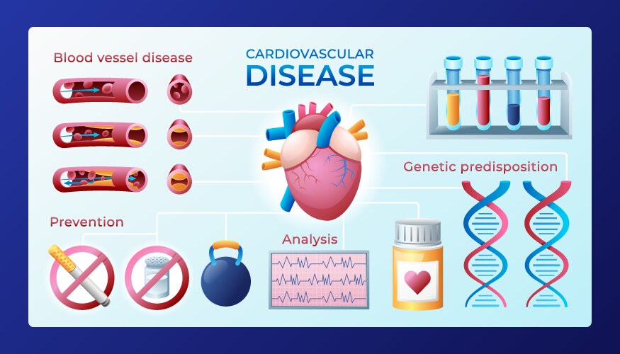 Cardiovascular Vector Images (over 15,000)
