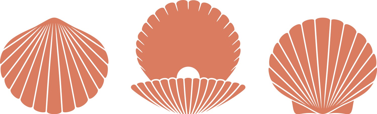 Scallop Royalty Free Vector Image - VectorStock