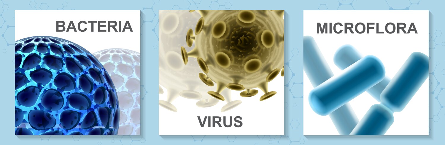 Realistic microbiology colorful background Vector Image