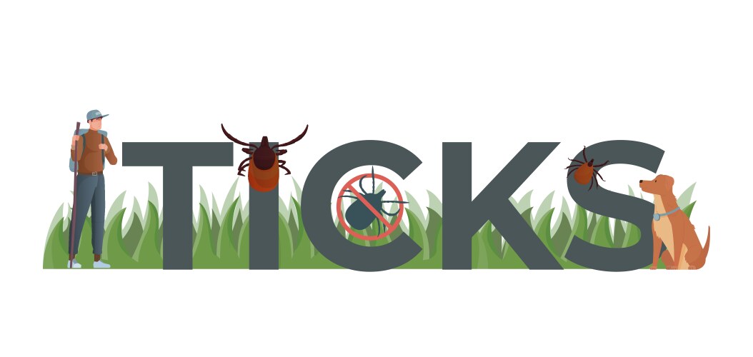 Ticks insect icon set Royalty Free Vector Image
