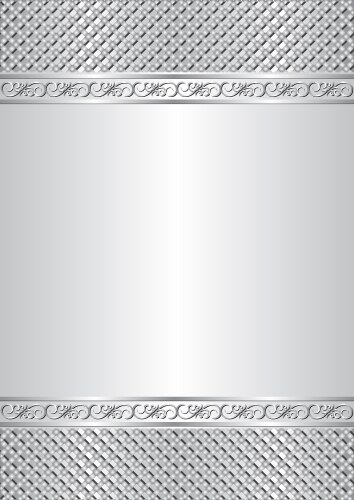 Vintage seamless border with lace texture Vector Image