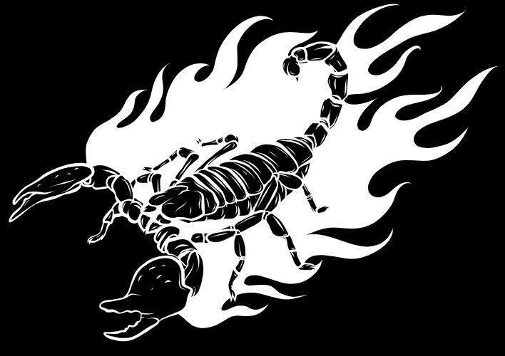 Scorpion Vector Images (over 7,700)