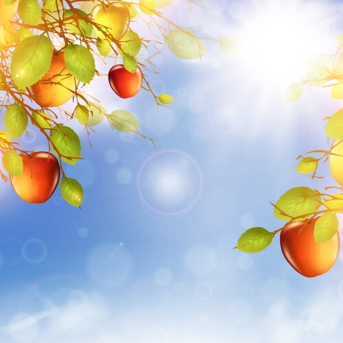 Apple Tree Vector Images (over 24,000)
