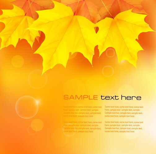Nature background with yellow leaves Royalty Free Vector