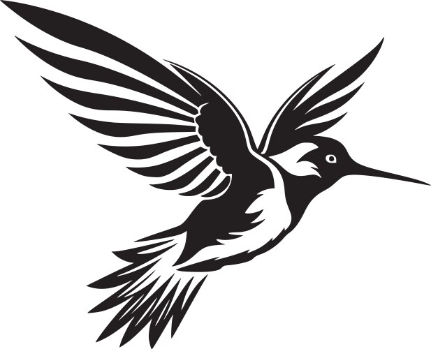 Black and White Hummingbird Vector Images (over 4,300)