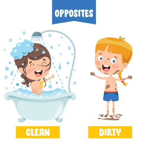 Opposite adjectives words with clean and dirty Vector Image