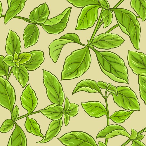 Basil branch with leaves outline Royalty Free Vector Image