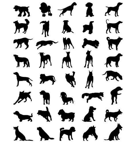 Dogs Vector Images (over 390,000)
