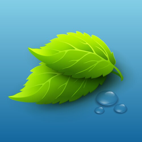 Water drop with green leaves inside poster Vector Image