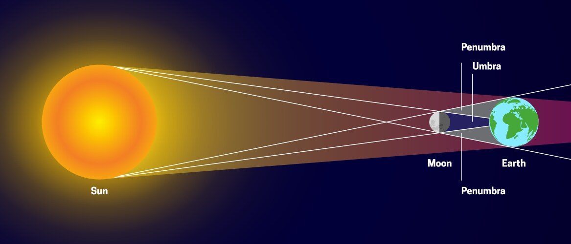 Umbra Vector Images (over 110)