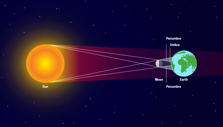 Solar eclipse with penumbra and umbra sun moon Vector Image