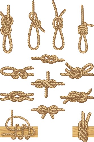 Knot Vector Images (over 66,000)