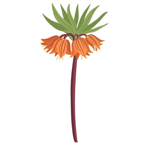 Flower Crown Vector Images (over 24,000)