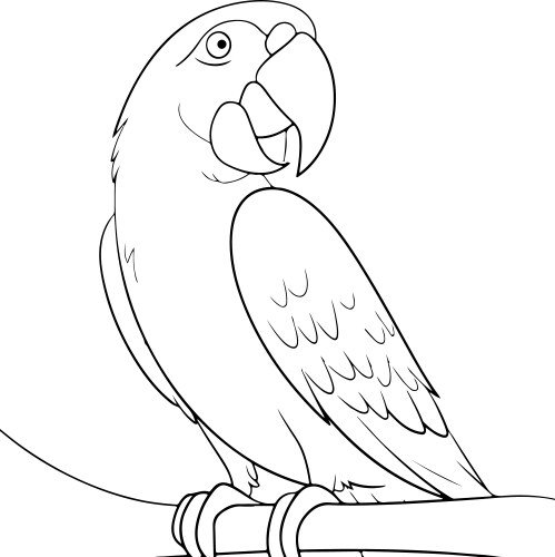 Parrot Bird Outline Vector Images (over 4,100)