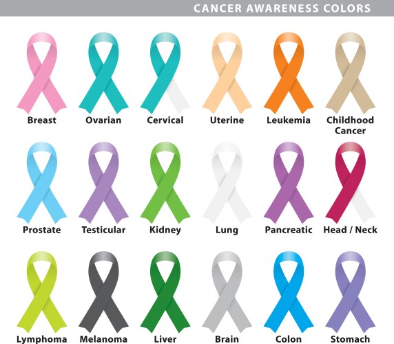 Set ribbon all cancers cancer awareness ribbons Vector Image
