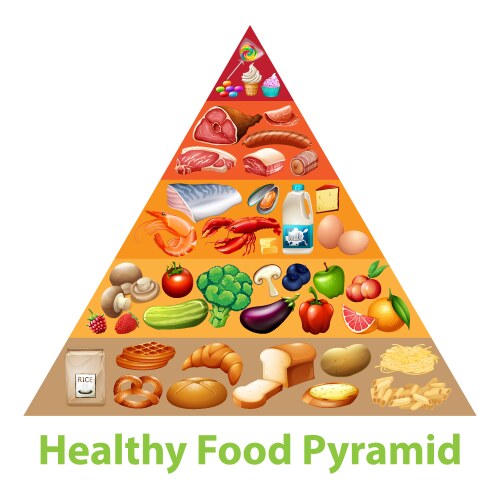 Healthy food pyramid infographic pictures Vector Image