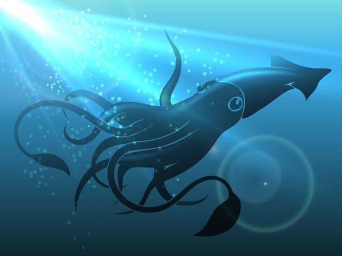 Squid Vector Images (over 18,000)
