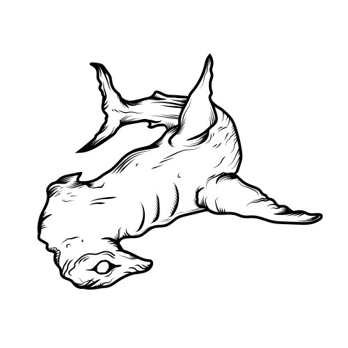 Hammerhead Outline Vector Images (over 170)
