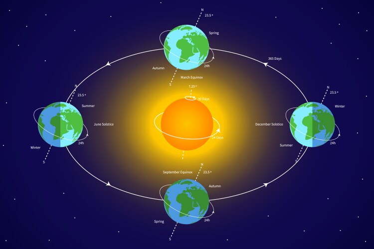 Earths orbit earth rotation around the sun Vector Image