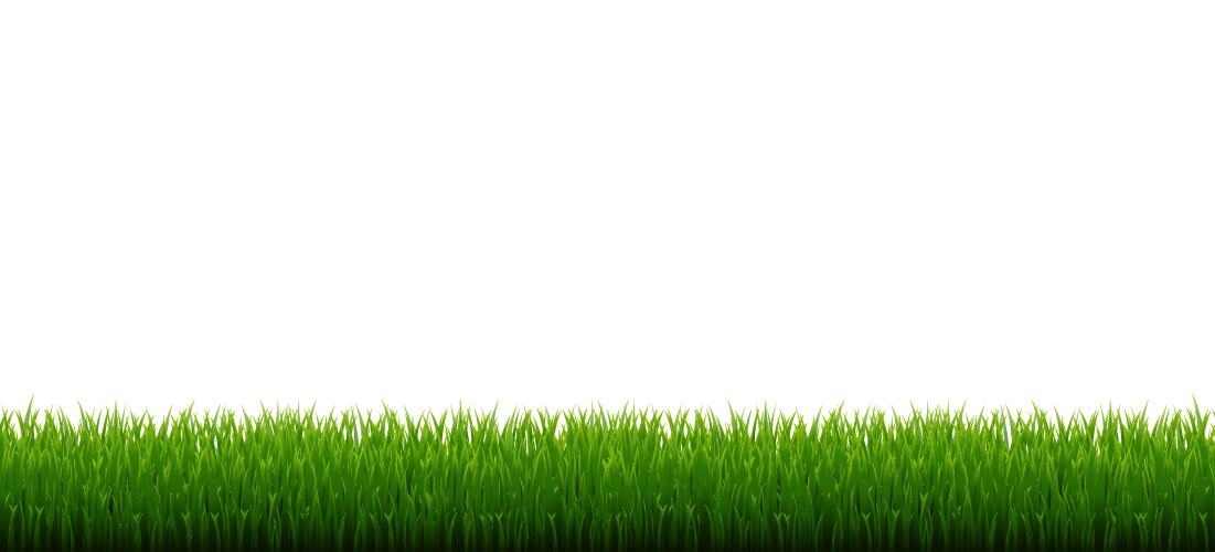 Green grass frame isolated white background Vector Image