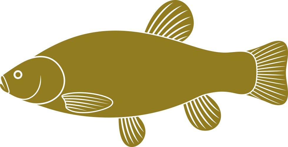 Tench Royalty Free Vector Image - VectorStock