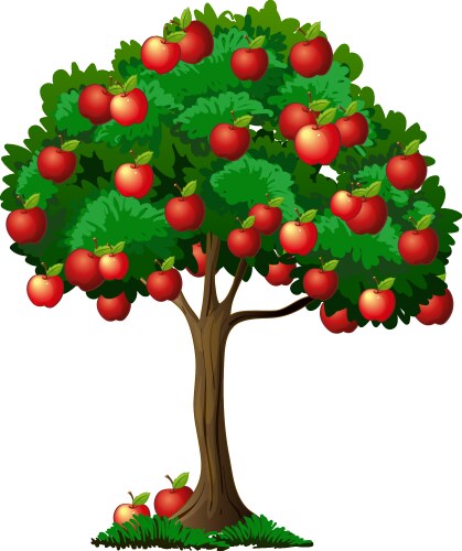 Apple tree with ripe fruits in cartoon style Vector Image