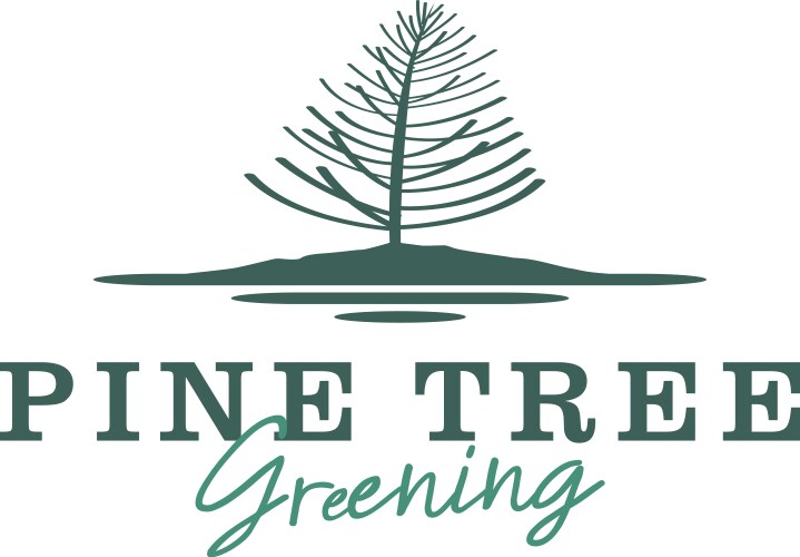 Free Pine Tree Vector Images (over 5,500)