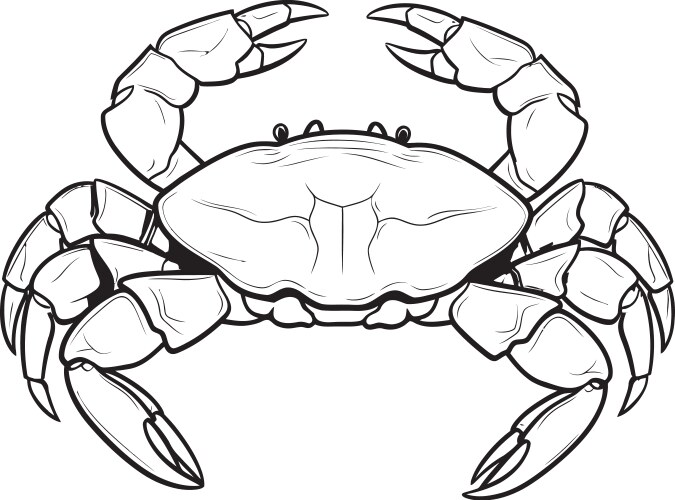 Harbor herald bold outline crab icon coastal Vector Image