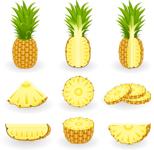 Pineapple Vector Images (over 55,000)
