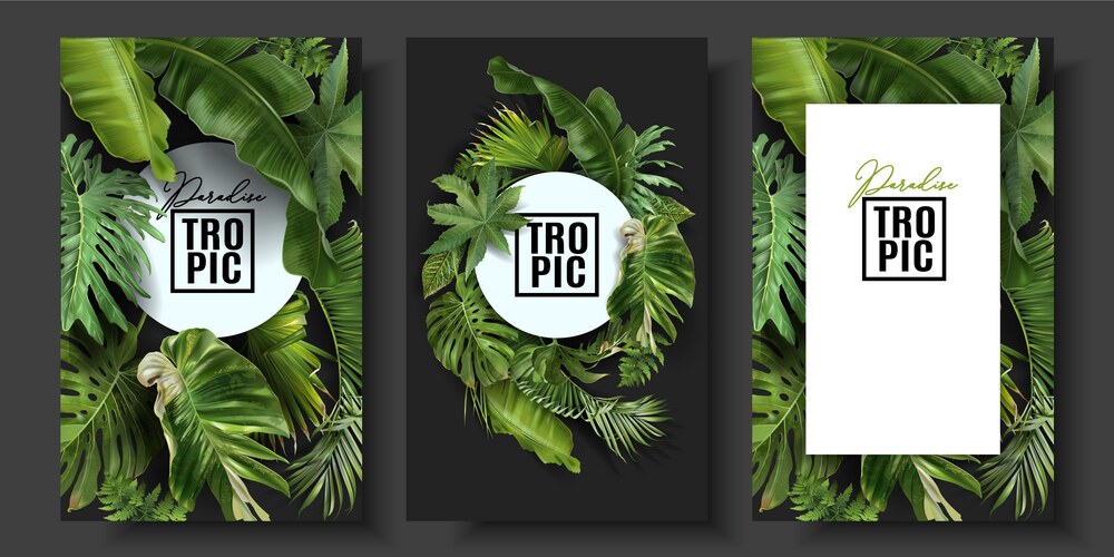 Banana Black and White Vector Images (over 6,900)