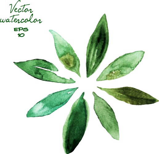 Watercolor Leaves Vector Images (over 49,000)