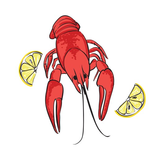 Crawfish Boil Vector Images (over 410)