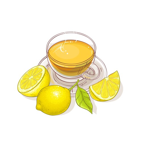 Lemon tea Royalty Free Vector Image - VectorStock