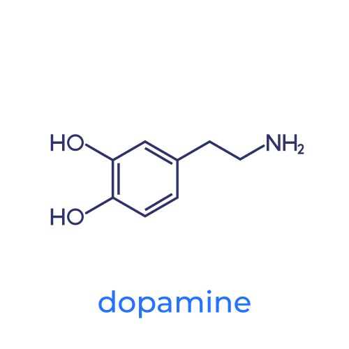 Dopamine molecule line icon Royalty Free Vector Image