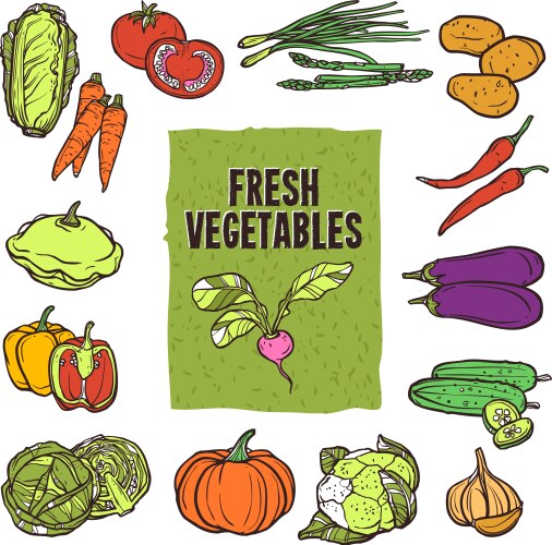 Vegetable Vector Images (over 580,000)