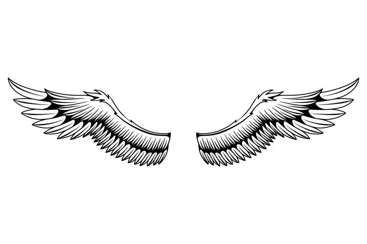 Wings sketch stylized birds hand drawn Royalty Free Vector