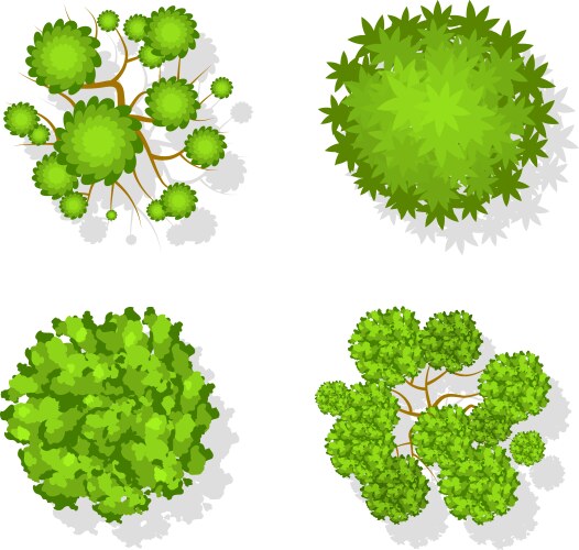 Trees top view for landscape Royalty Free Vector Image