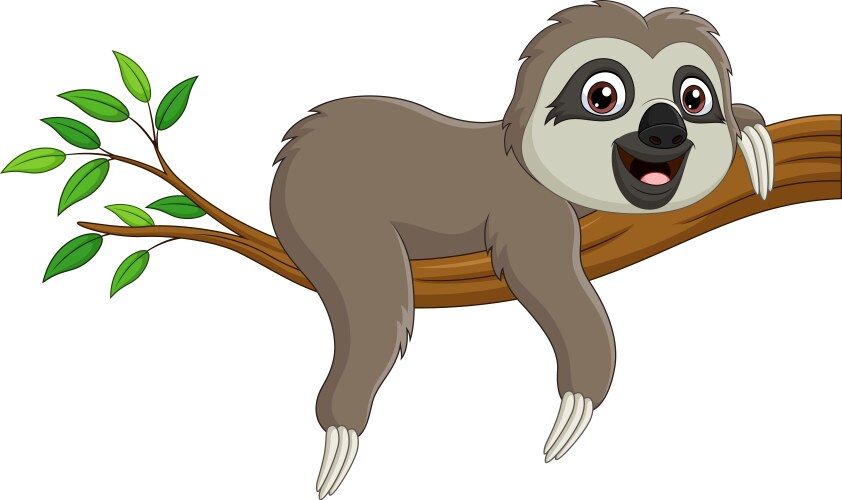 Cartoon sloth on a tree branch Royalty Free Vector Image