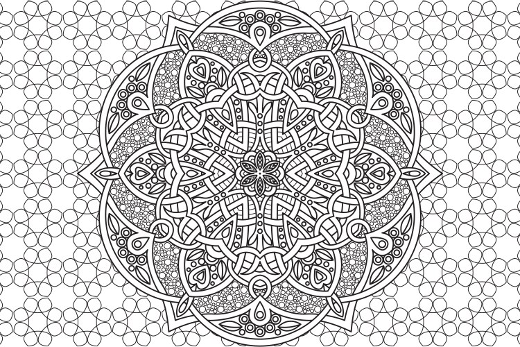 Mandala line art hand draw coloring page Vector Image