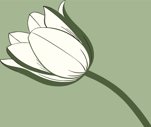 Single Tulip Vector Images (over 1,400)
