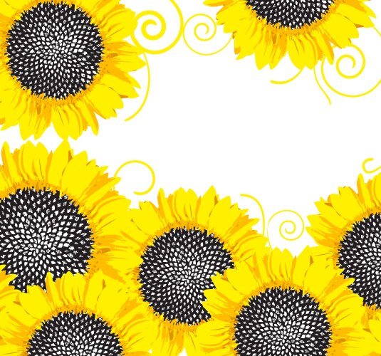 Sunflower Vector Images (over 53,000)